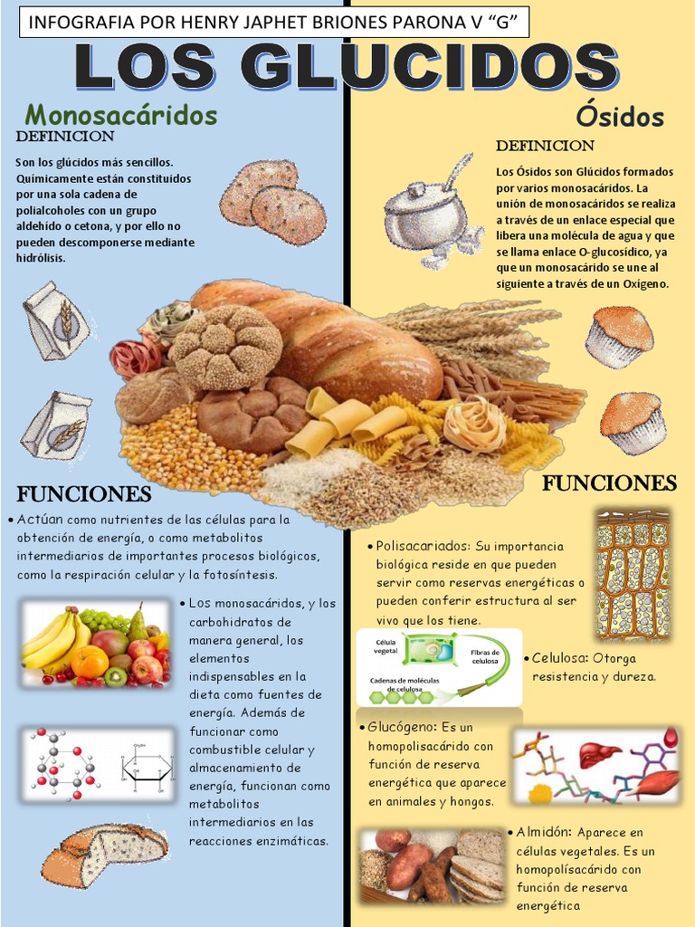 Los Glucidos PDF | PDF | Carbohidratos | Sustancias químicas