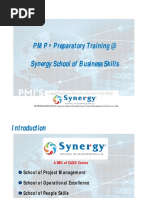 PMP Examination Content Outline - 1 | PDF