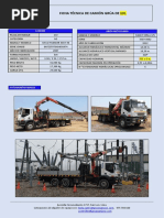 Ficha Tecnica Rampla Extensible | PDF | Eje | Suspensión (Vehículo)