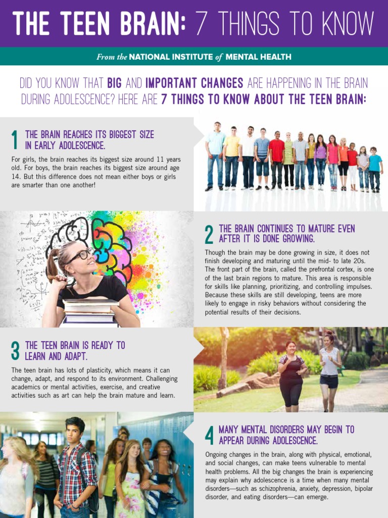 Understanding the Teen Brain | PDF | Adolescence | Stress (Biology)