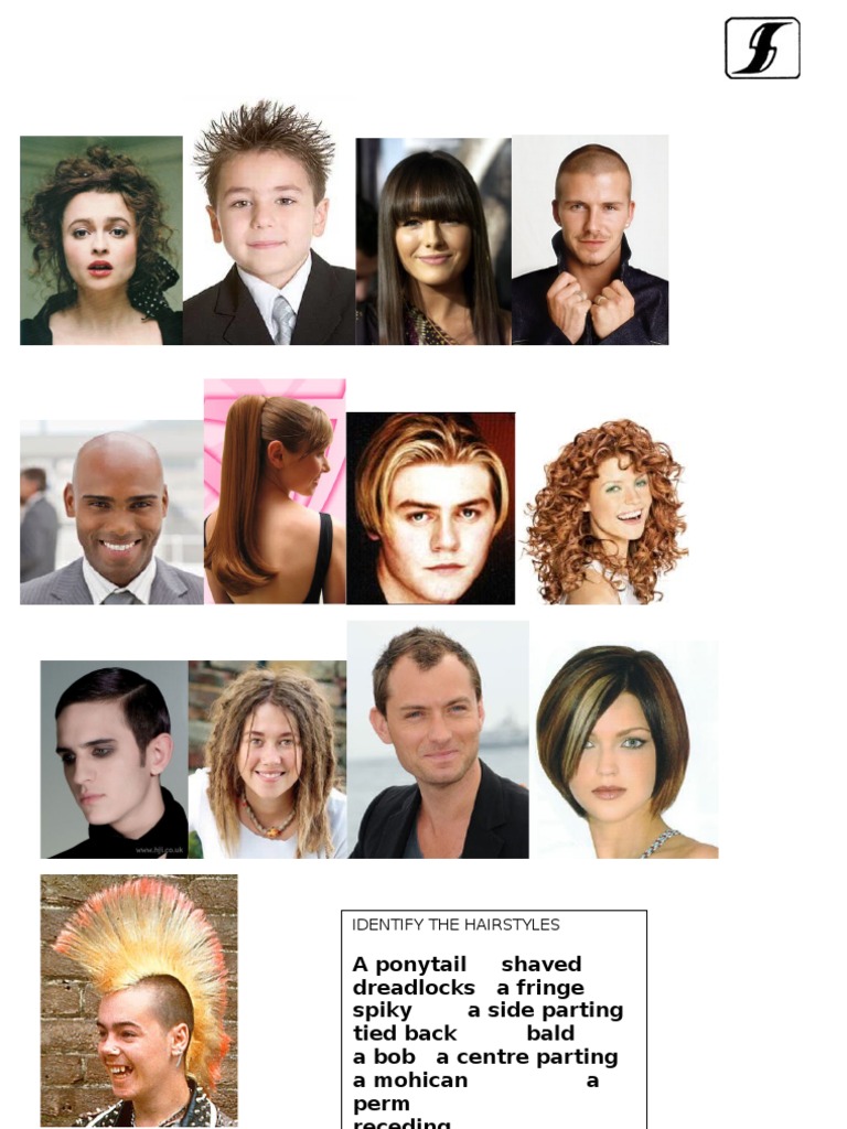 Identifying Popular Hairstyles | PDF