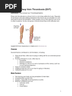 5 Deep Vein Thrombosis Nursing Care Plans | PDF | Thrombosis | Vein