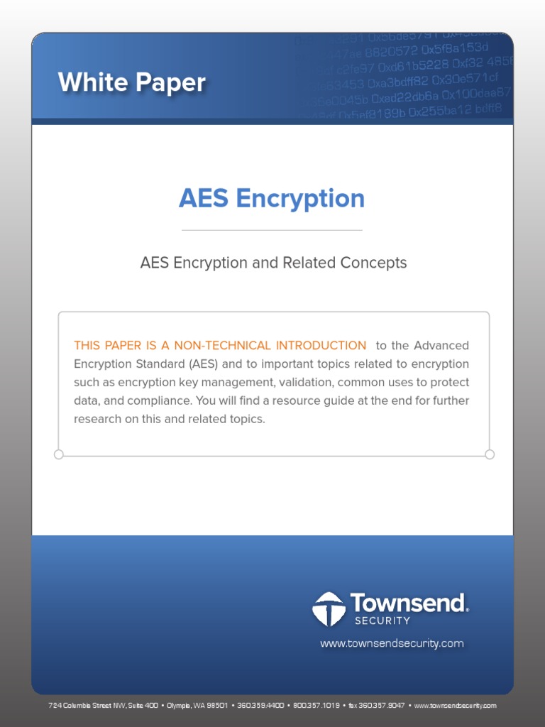 White Paper: AES Encryption | PDF | Key (Cryptography) | Cryptography