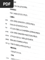 Ironsworn Character Sheet | PDF