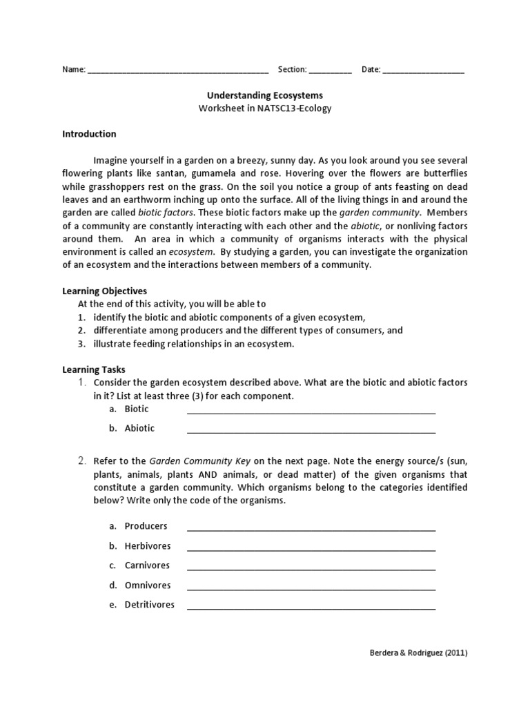 Understanding Ecosystems Worksheet | PDF | Ecosystem | Biogeochemistry