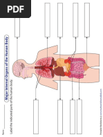 Life Size Printable Human Body Organs | PDF | Self-Improvement