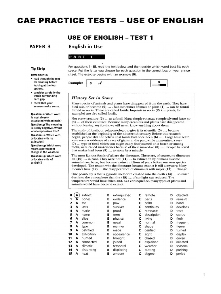 CAE Practice Tests - Use of English | PDF
