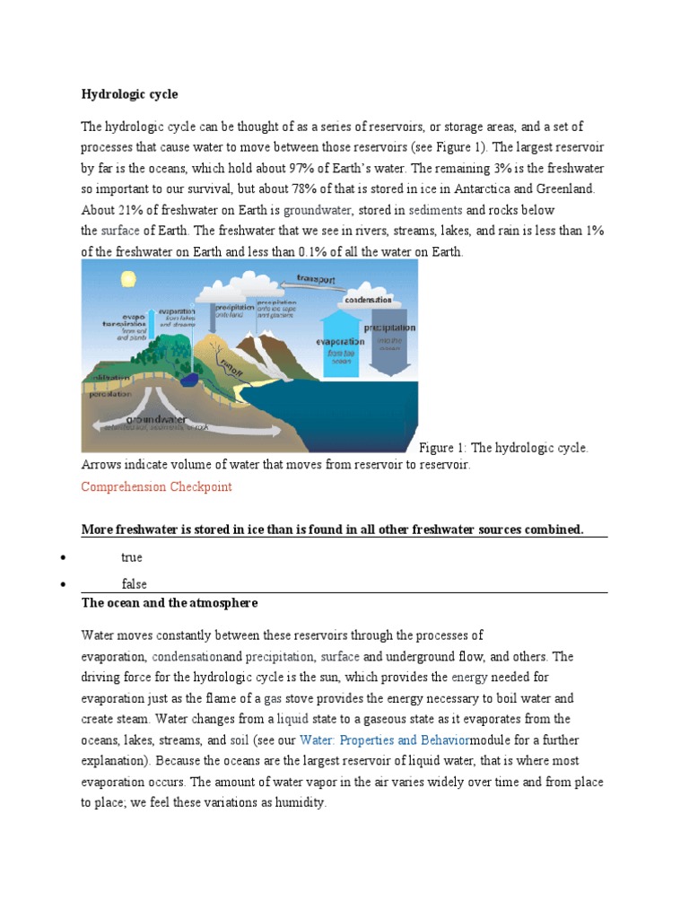 Hydrologic Cycle: Groundwater Sediments Surface | PDF | Water Vapor ...