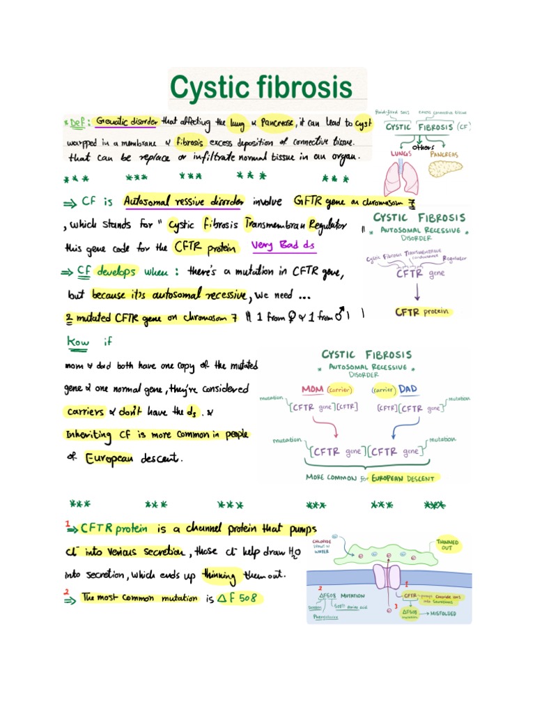 Cystic Fibrosis ? PDF | PDF | Clinical Medicine | Diseases And Disorders