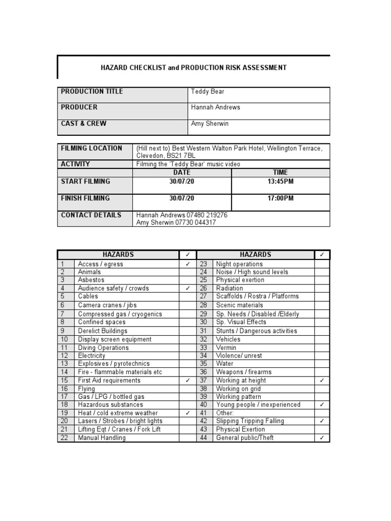 Teddy Bear Risk Assessment | PDF | First Aid | Prevention