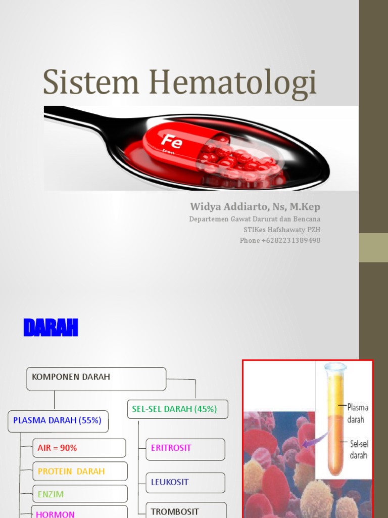 7.kelainan Hematologi | PDF