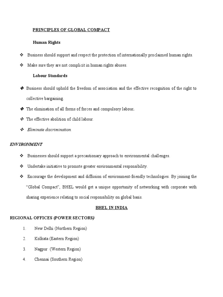 Principles of Global Compact | PDF