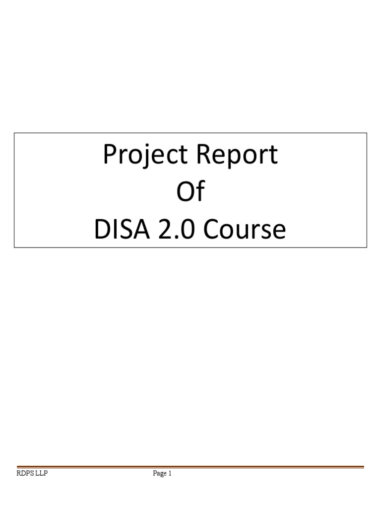 DISA Project Report | PDF | Internal Control | Inventory