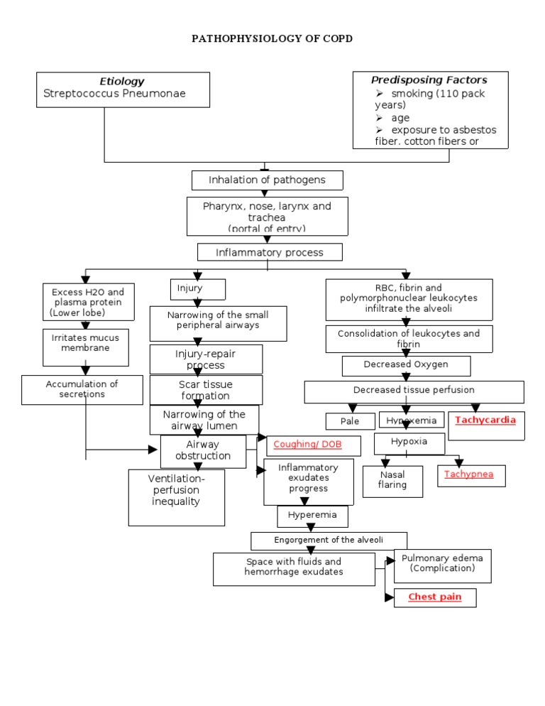 COPD Patho | PDF | Respiratory Tract | Pulmonology