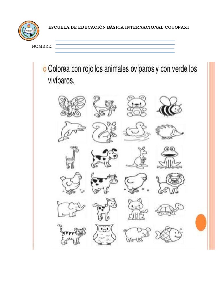 Animales Oviparos y Viviparos | PDF