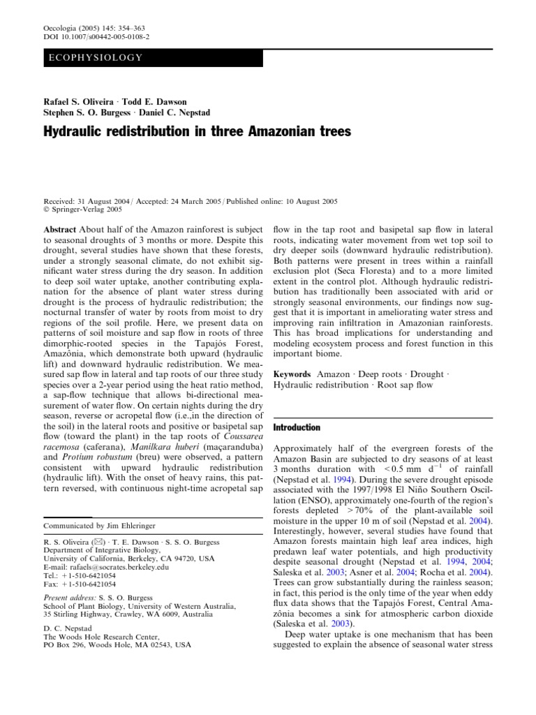 Hydraulic Redistribution in Amazon Trees | PDF | Root | Amazon Rainforest