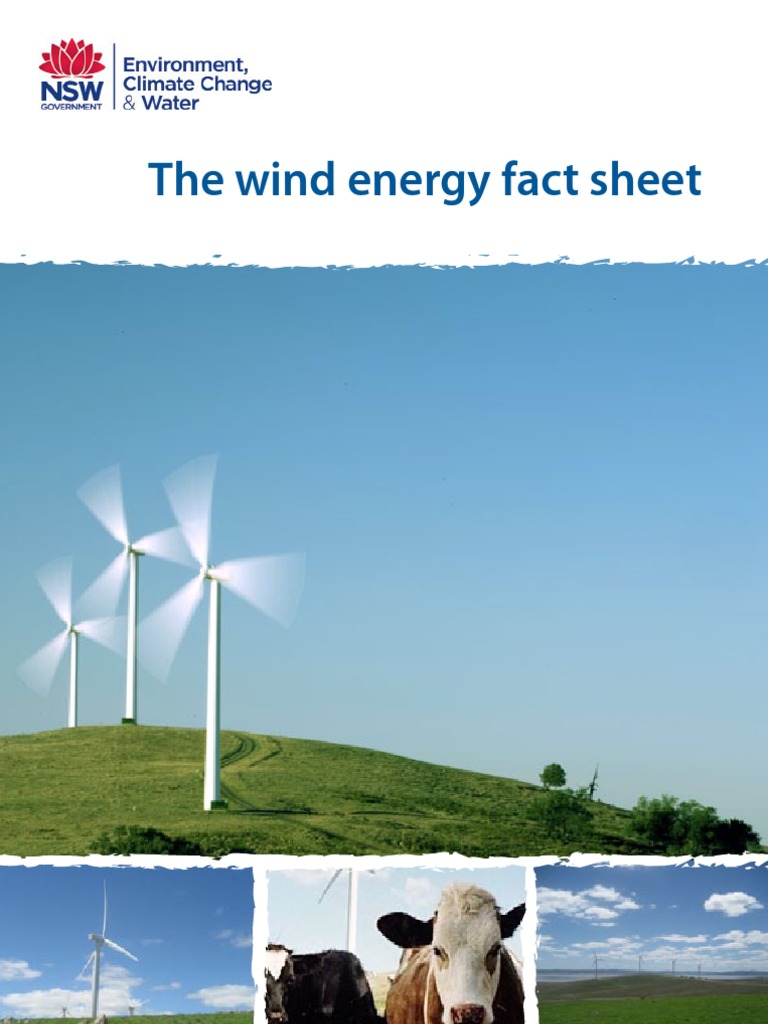 The Wind Energy Fact Sheet | PDF | Wind Power | Power Station
