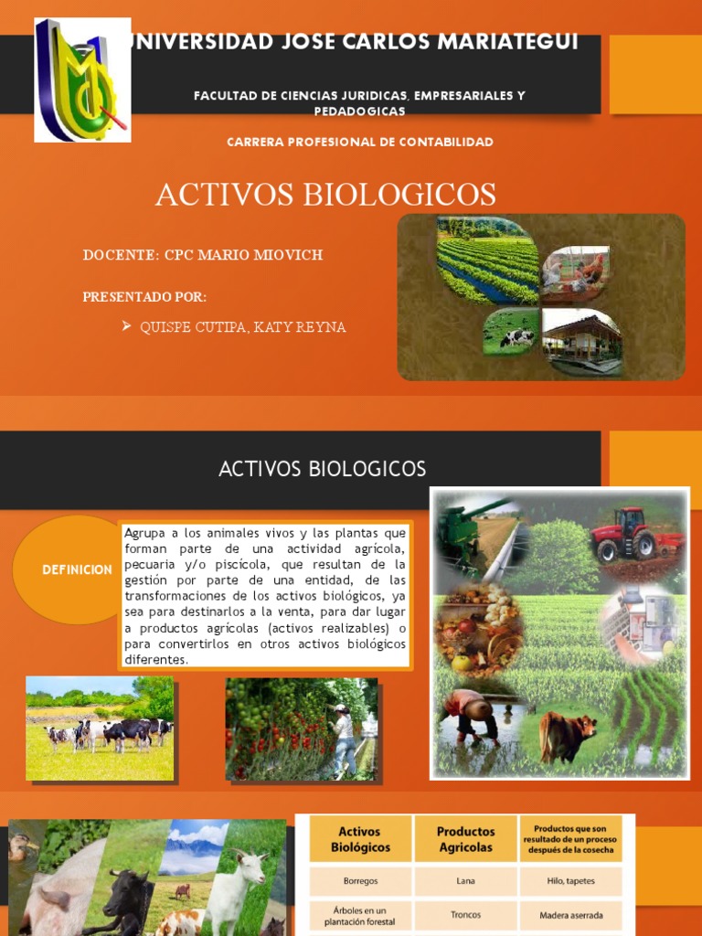 Activos Biologicos | PDF | normas internacionales de INFORMACION ...