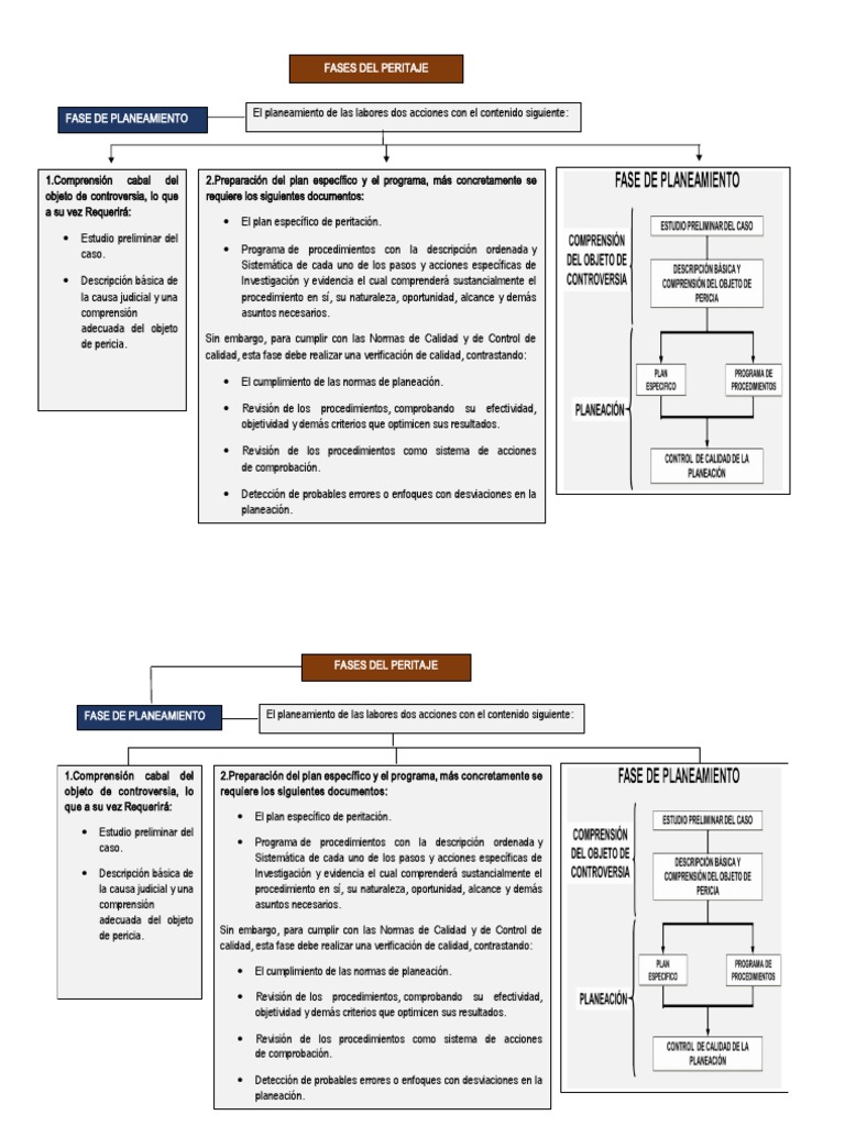 Fases del Peritaje: Planeación y Ejecución | PDF | Planificación ...