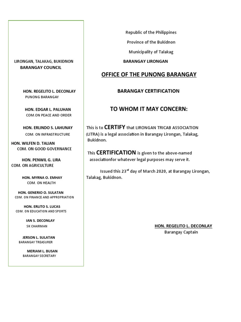Office of The Punong Barangay | PDF | Social Science | Lifestyle
