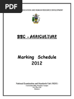 Tree Planting Action Plan | PDF | Trees | Natural Environment