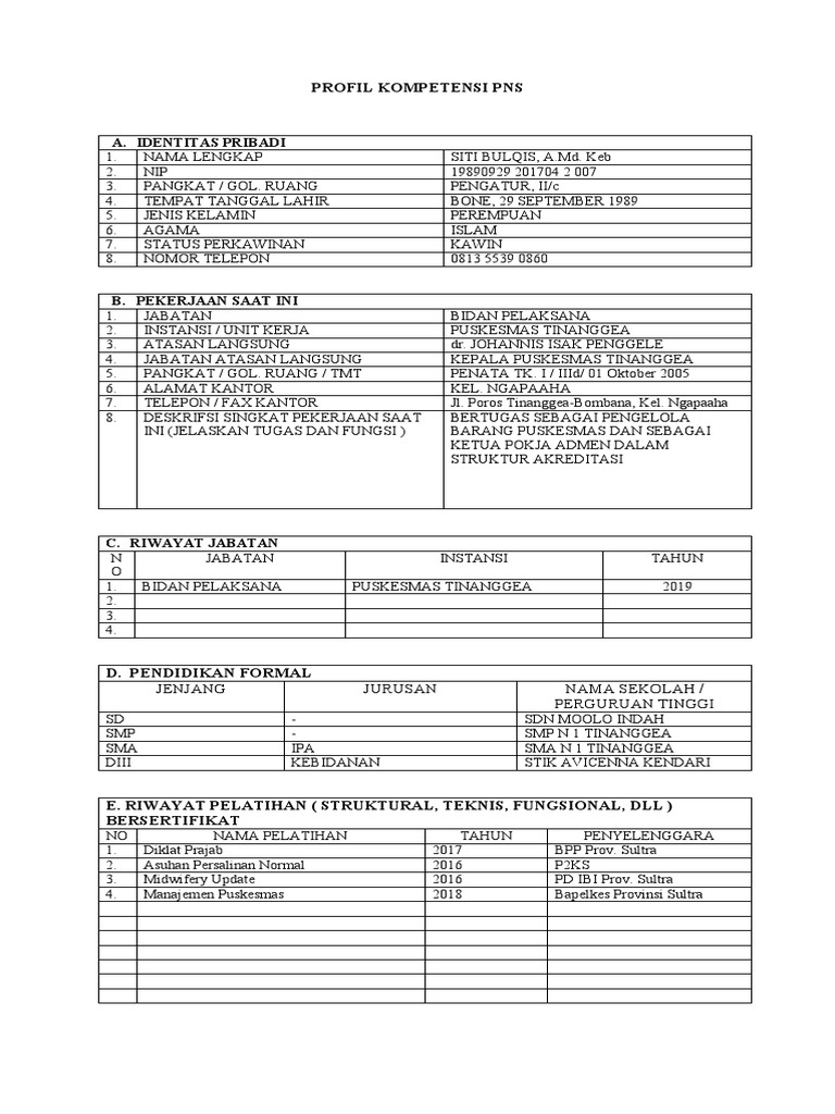 Profil Komptensi PNS | PDF