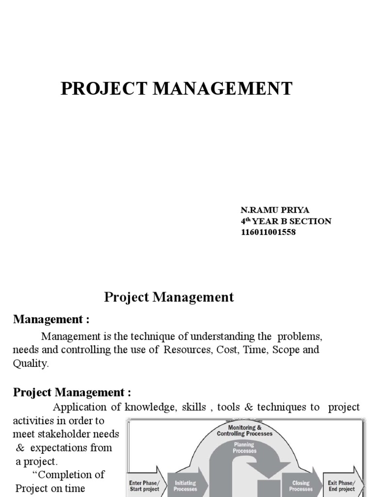 Projectmanagement | PDF | Project Management | Economies