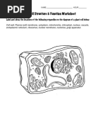 Grade 9 Plant and Animal Cell Revision | PDF | Cell (Biology) | Chloroplast