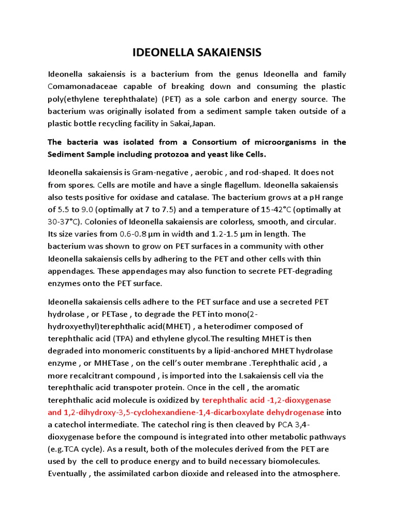 Ideonella Sakaiensis | PDF