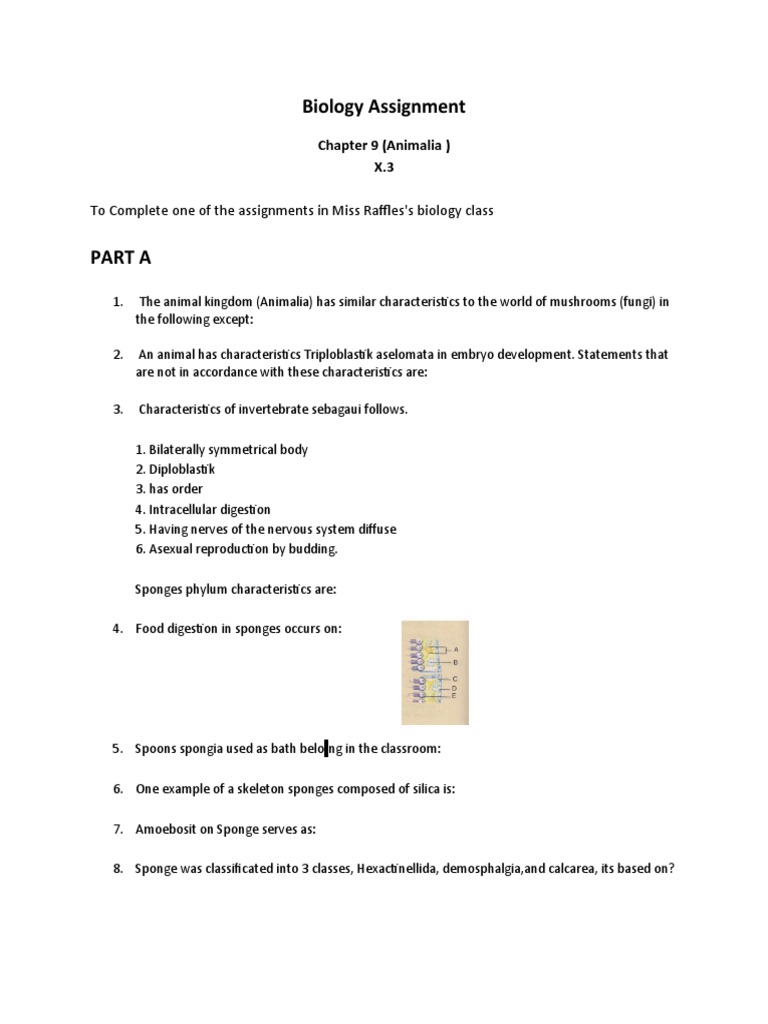 Biology Assignment: To Complete One of The Assignments in Miss Raffles ...