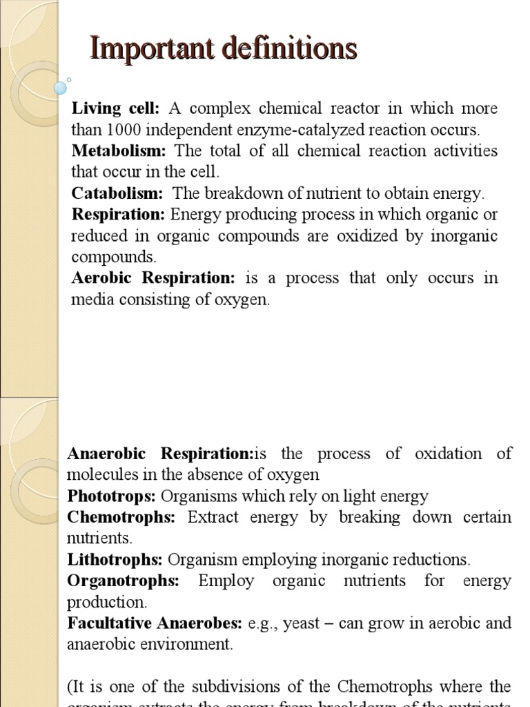 Slides CHP 5 | PDF | Cellular Respiration | Diffusion