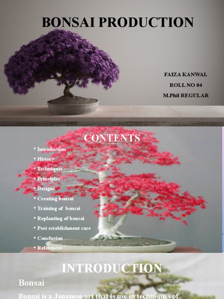 BONSAI Lab | PDF | Bonsai | Pruning