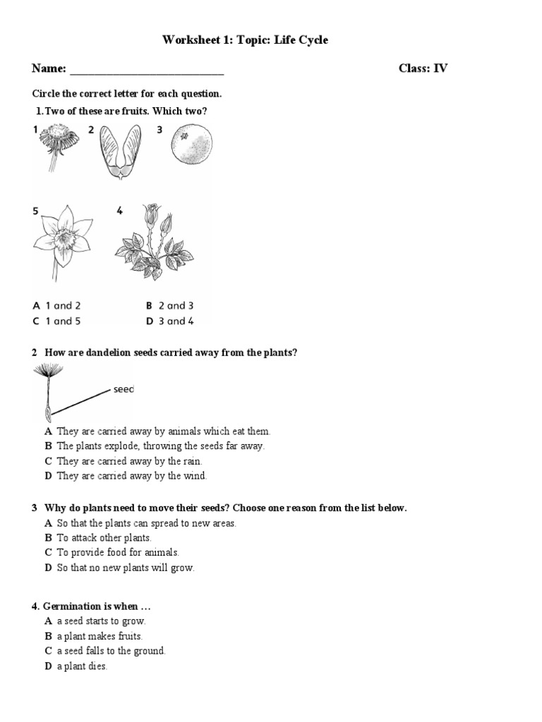 Worksheet 1: Topic: Life Cycle Name: - Class: IV | PDF | Flowers ...
