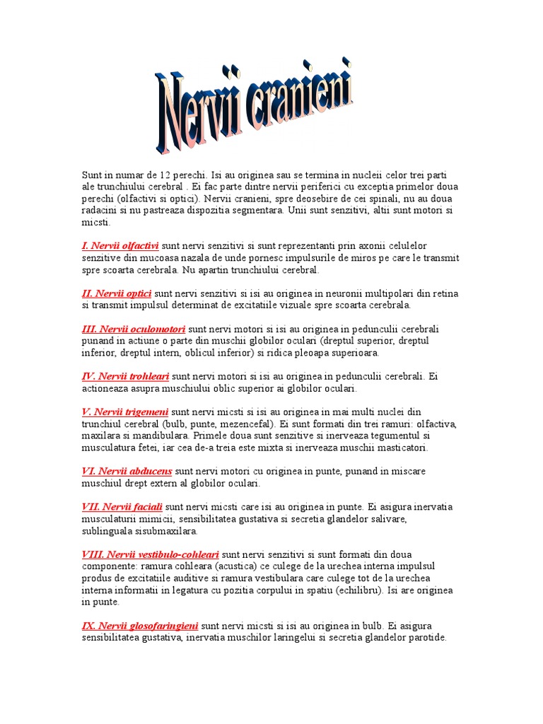 Nervii Cranieni Si Spinali | PDF
