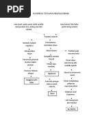 Cara Membuat Pathway | PDF