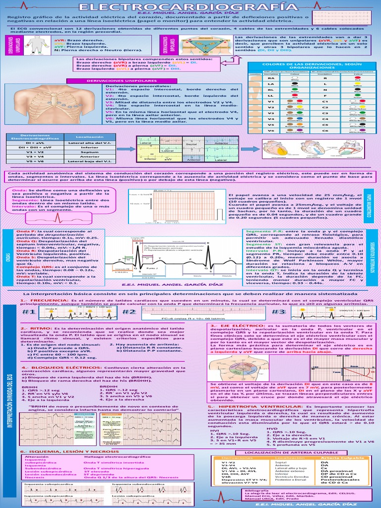 Infografia Electrocardiograma PDF | PDF | Electrocardiografia | Sistema cardiovascular