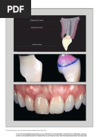 Checklist For Reporting Results of Internet E-Surveys (CHERRIES) | PDF ...