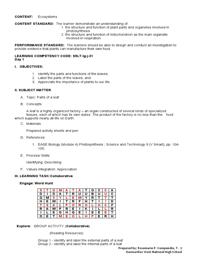 Grade 9 Science Biology 3 DLP | PDF | Cellular Respiration | Mitochondrion