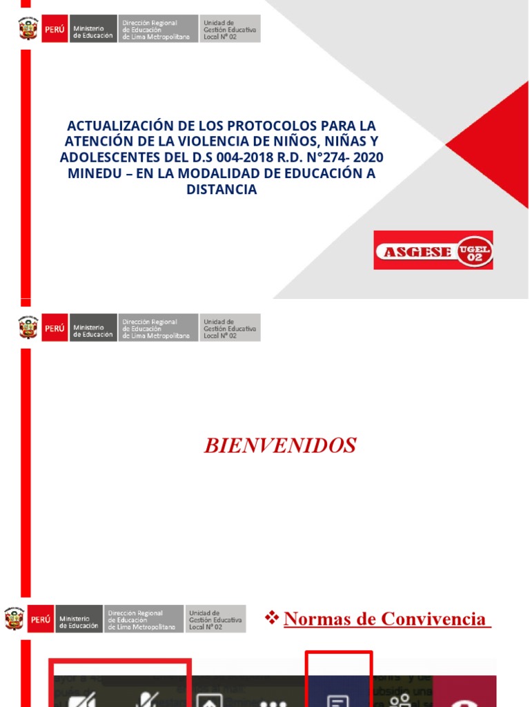 Protocolos SISEVE 2025 para Violencia Escolar | PDF | Violencia | Policía