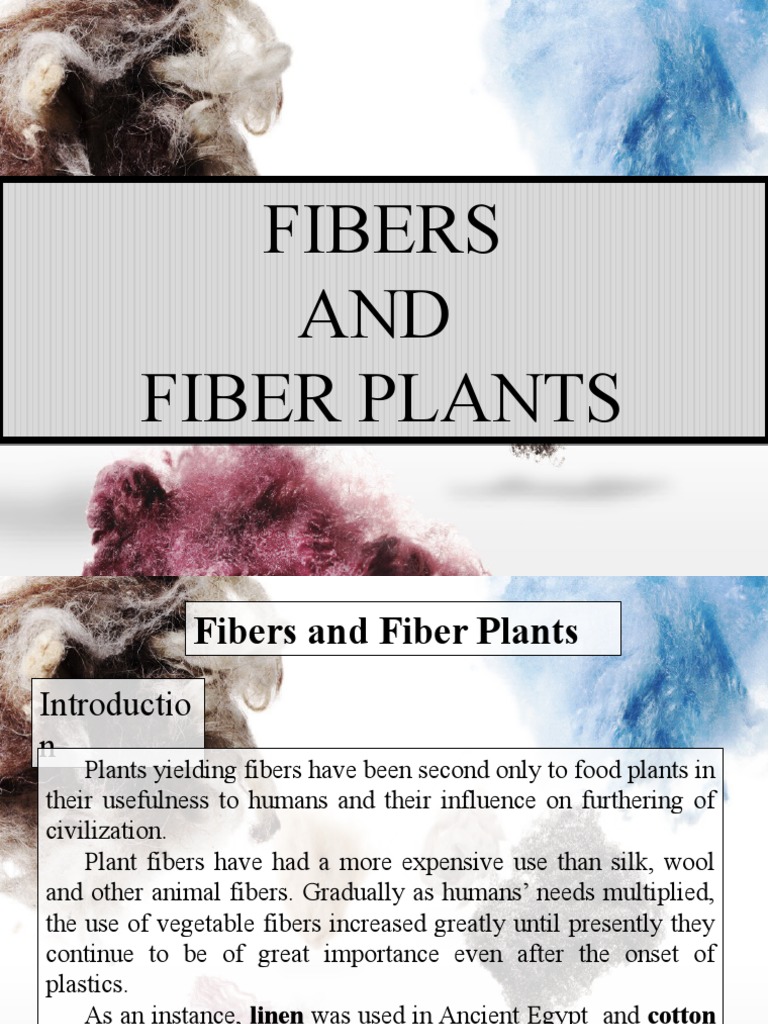 Fibers and Fiber Plants | PDF | Textiles | Cotton