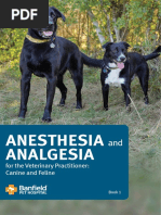 2020 Anesthesia and Monitoring-Guidelines Final | PDF | Anesthesia ...
