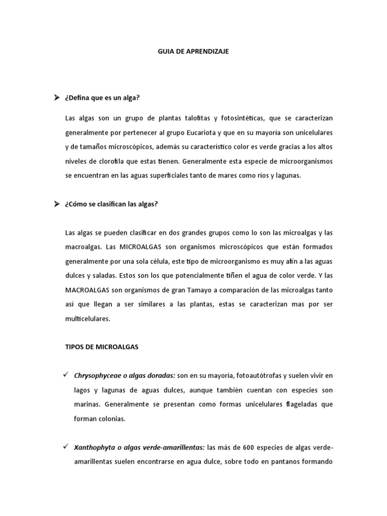 Guia de Aprendizaje Taller Microalgas 2 | PDF | Algas | Plantas
