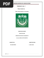 Constitution Template For Non Profit Organisation | PDF | Board Of ...