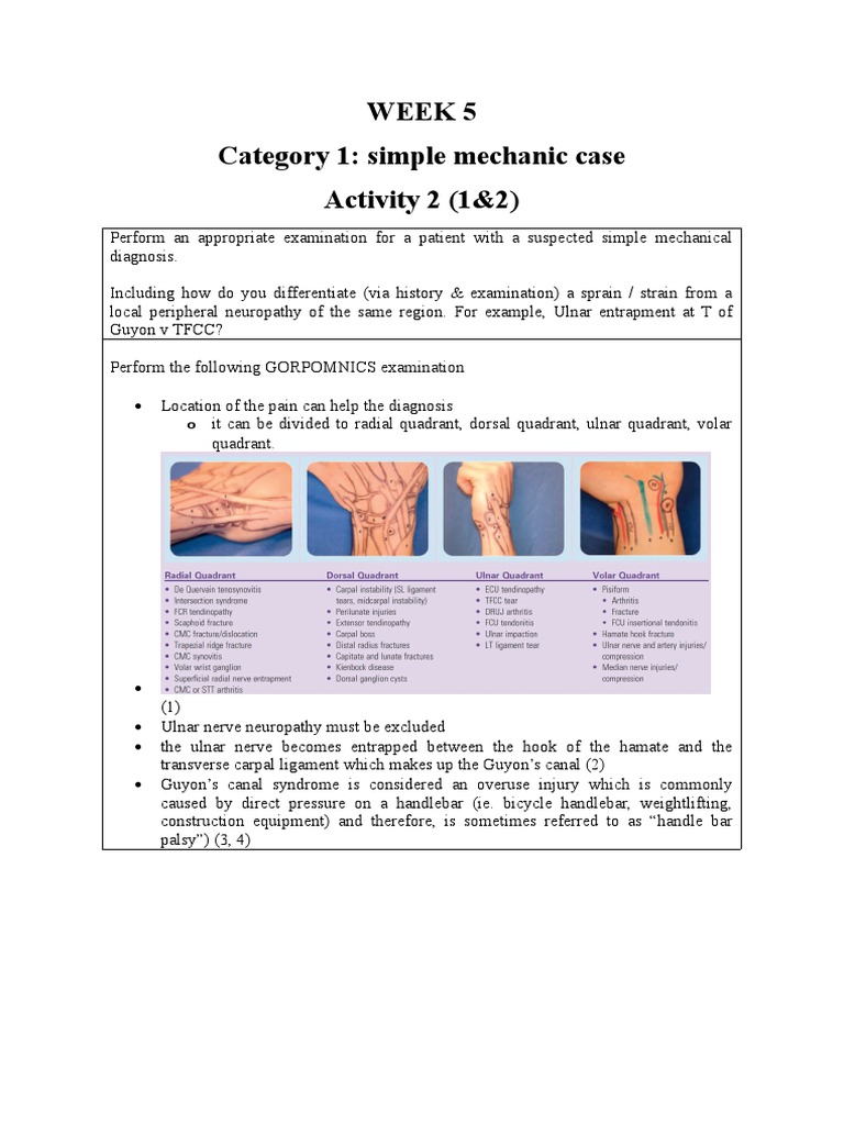 Week 5 Category 1: Simple Mechanic Case Activity 2 (1&2) | PDF ...