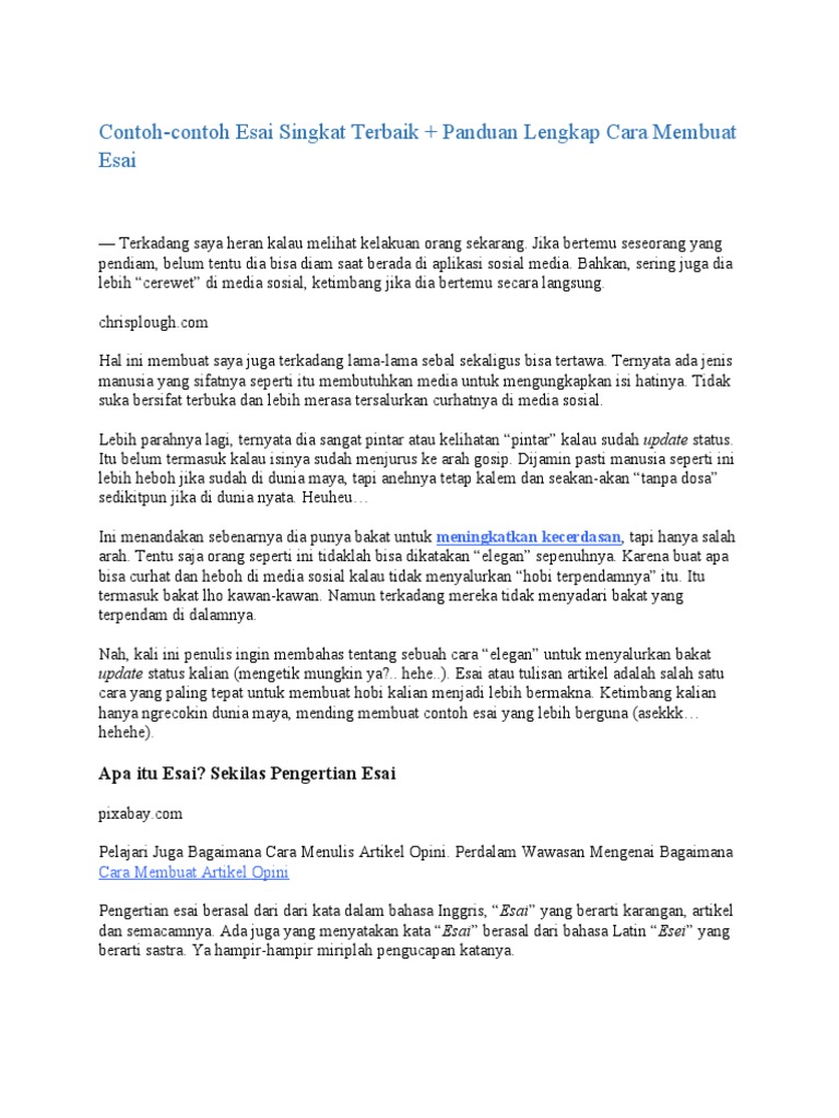 Contoh ESSAY | PDF