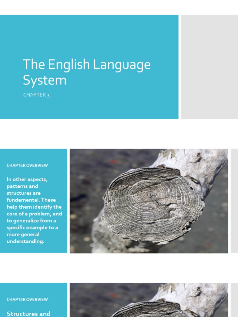 The English Language System | PDF | Syntax | Phonetics