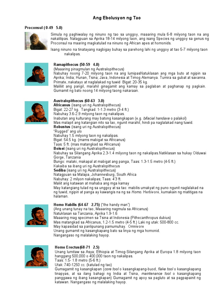 Ebolusyon With Picts | PDF