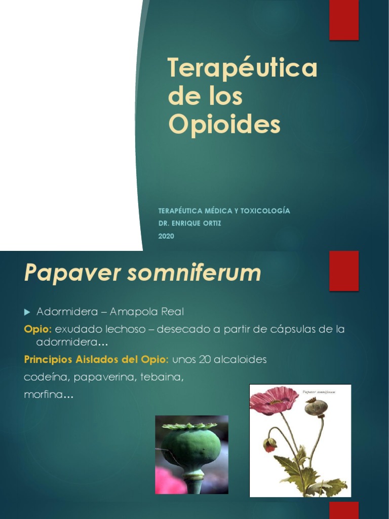 4 - Terapéutica de Los Opioides | PDF | Opioide | Naloxona