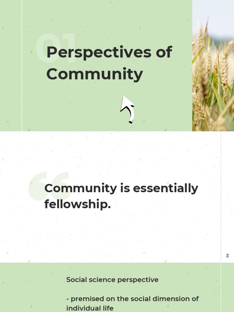 Perspectives of Community | PDF | Institution | Community