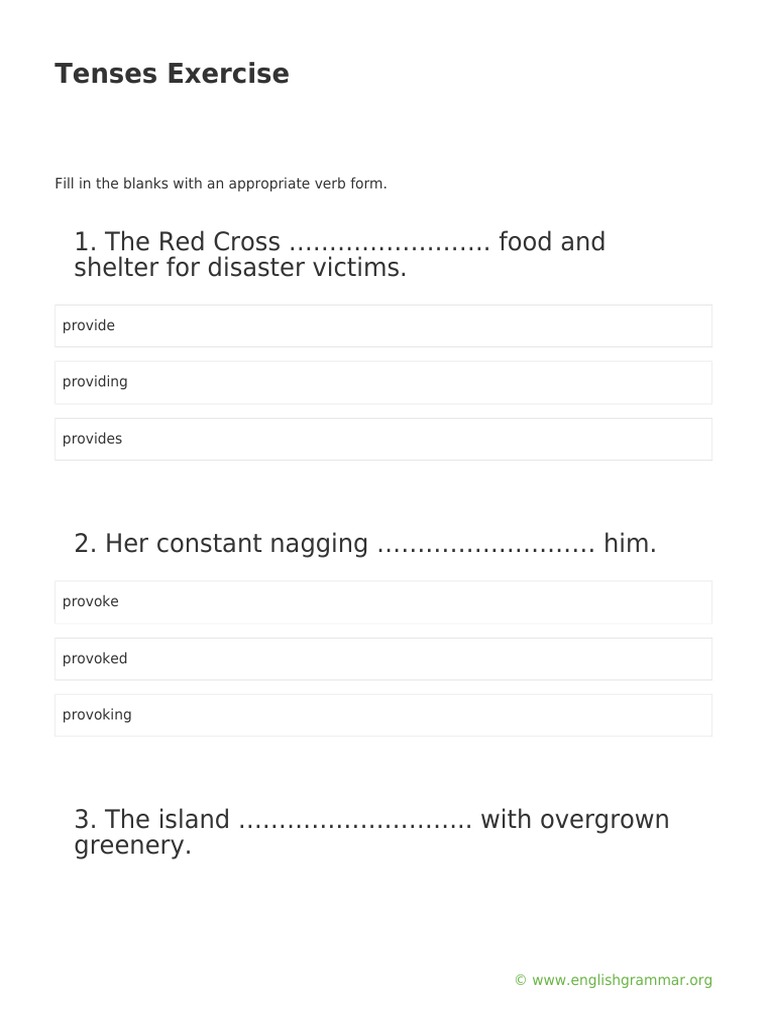 Tenses Exercise | PDF